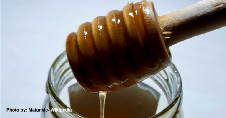 Pesticides in Honey and Bee Pollen and Human Health - APIMONDIA